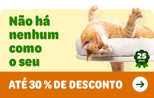Ataxia em gatos | Causas, tratamento e prognóstico